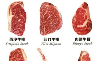 西餐牛排的种类有哪些_牛排部位怎么选