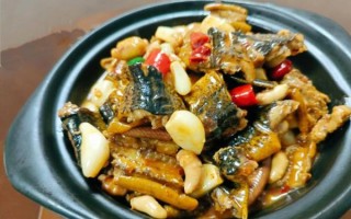 黄鳝鱼视频_怎么拍才吸引人