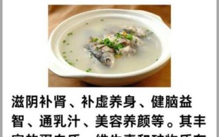 鲫鱼汤的营养价值_鲫鱼汤怎么炖最营养