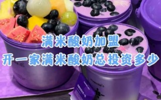 酸奶店加盟有哪些品牌_哪个品牌值得投资