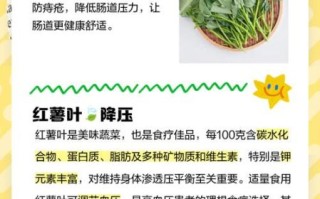 红薯叶子的功效与作用_红薯叶子怎么吃最营养