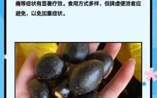 九层皮果的功效与作用_九层皮果怎么吃效果最好
