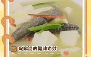 小儿健脾泥鳅汤的做法_孩子脾虚喝泥鳅汤有效吗