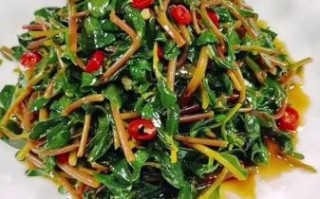 炒马齿苋怎么做_马齿苋怎么炒才好吃