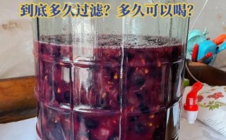 家庭自酿葡萄酒怎么做_葡萄酒二次发酵需要多久