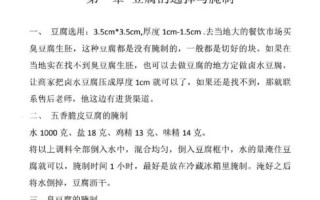臭豆腐怎么做_臭豆腐做法大全