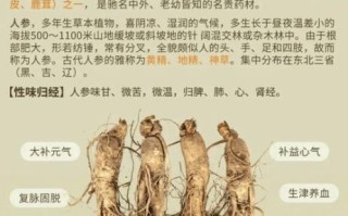 人参的功效与副作用_怎么吃才安全