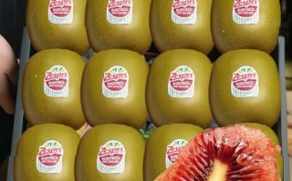 红心猕猴桃产地在哪里_哪里的最甜