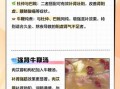 牛鞭汤有什么功效_牛鞭汤适合什么人喝