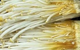 银针菇和金针菇哪个好_银针菇和金针菇的区别