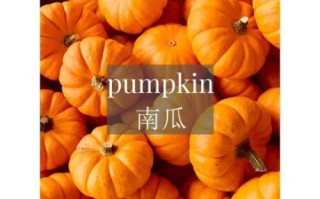 how_to_make_pumpkin_pie_from_scratch_easy