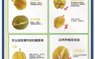 榴莲怎么做好吃_榴莲怎么挑选才甜