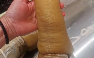 象拔蚌怎么做好吃_象拔蚌价格多少钱一斤