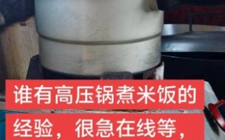 高压锅蒸米饭要多长时间_高压锅蒸米饭水米比例