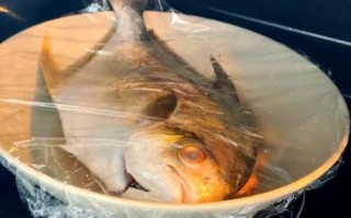 微波炉蒸鱼要多久_微波炉蒸鱼几分钟
