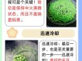 煮毛豆冷水下锅还是开水下锅_毛豆怎么煮才翠绿入味