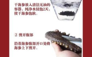 整根海参怎么做好吃_海参泡发后怎么烹饪