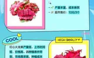 红心火龙果和白心火龙果哪个好_营养价值对比