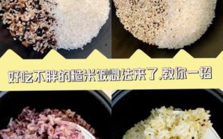 糙米饭和白米饭的区别_糙米饭怎么煮才软