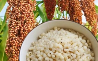 白脸高粱米饭怎么做_白脸高粱米饭热量高吗