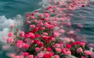 面朝大海春暖花开图片怎么拍_如何用手机拍出诗意海景