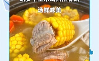 胡萝卜玉米排骨汤怎么做_排骨汤要炖多久才软烂