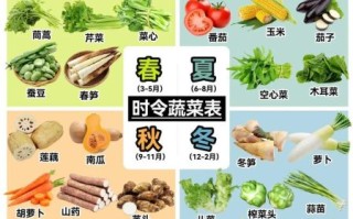 春季时令蔬菜有哪些_春季时令蔬菜怎么做好吃