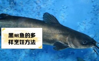 黑鮰鱼图片_黑鮰鱼长什么样