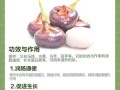 荸荠怎么吃更安全健康_生吃荸荠会感染寄生虫吗