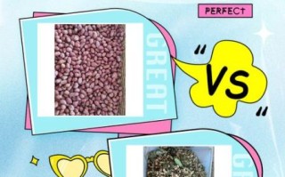 水果花生和普通花生的区别_哪个营养价值更高