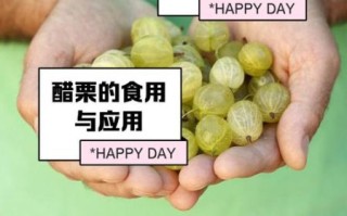 醋栗的功效与作用_醋栗怎么吃最好