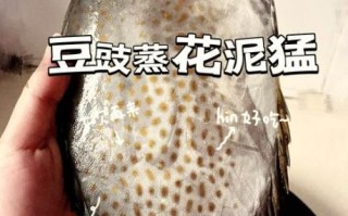 泥猛鱼什么人不能吃_泥猛鱼禁忌人群