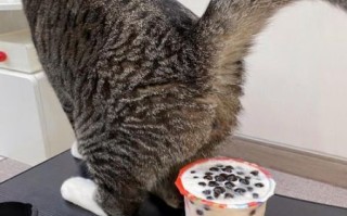 喝奶茶表情包怎么保存_喝奶茶表情包为什么这么火