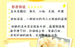 白玉木耳的功效与作用_白玉木耳怎么吃最好