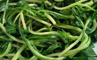 晒干马兰头怎么保存_晒干马兰头家常做法