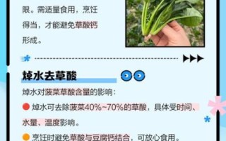 菠菜和豆腐能一起吃吗_会中毒吗