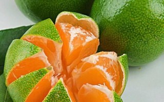 小橘子上火吗_吃小橘子会不会上火