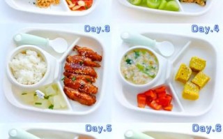 一岁半宝宝每日食谱_怎么做才营养均衡