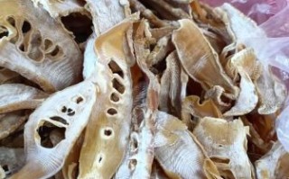 冬笋干多少钱一斤_冬笋干价格为什么差距大