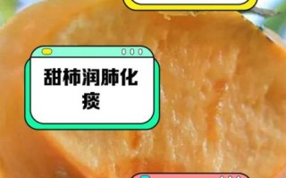 脆柿子营养价值_脆柿子功效与作用