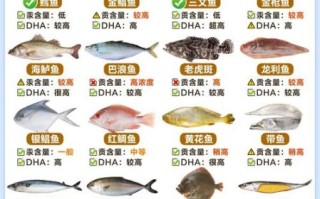 海鱼种类大全_海鱼名称对照图怎么用