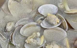 花甲汤的做法大全_花甲汤怎么做好喝又干净