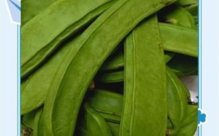 刀豆有毒吗_刀豆中毒症状有哪些