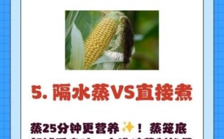 甜玉米要煮多久才熟透_甜玉米煮多久口感最好