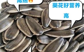 葵花籽的热量是多少_减肥能吃吗