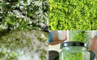 怎样做韭菜花_韭菜花酱的做法