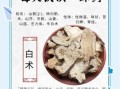 白术的功效与作用_白术的禁忌人群