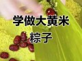 黄米粽子怎么做_黄米粽子需要泡多久