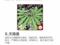 哪些野菜可以吃_如何辨别有毒野菜