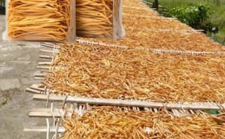 干黄花菜怎么泡发_干黄花菜怎么做好吃